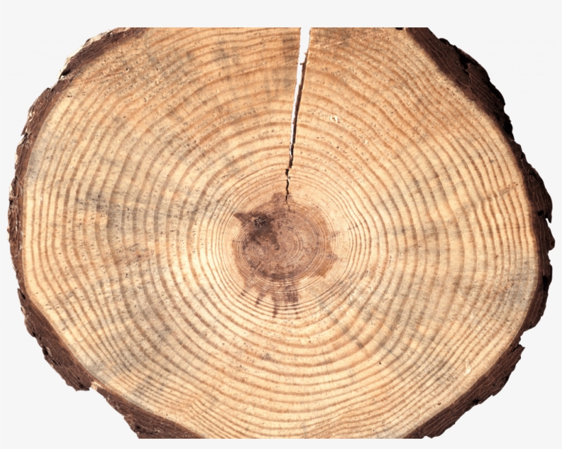 The Blog Log - Wooden Circle Transparent PNG - 1024x768 - Free Download ...
