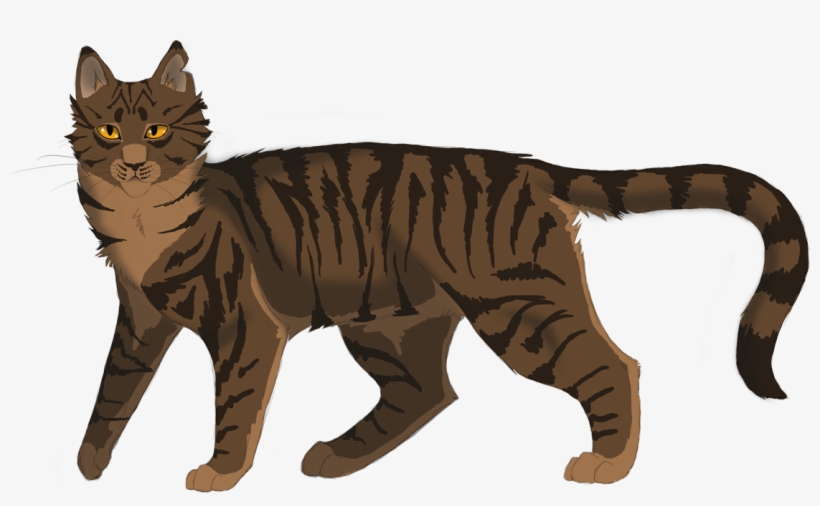 So, Tigerstar Trains Tigerheart In The Dark Forest - Warrior Cats ...