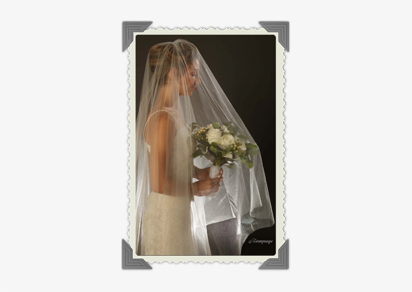 Veil Transparent PNG - 337x500 - Free Download on NicePNG