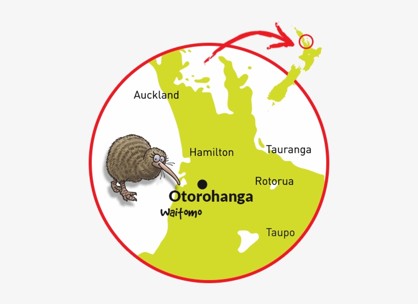 Map Of Otorohanga's Kiwihouse - New Zealand Country Sticker Truck Car ...