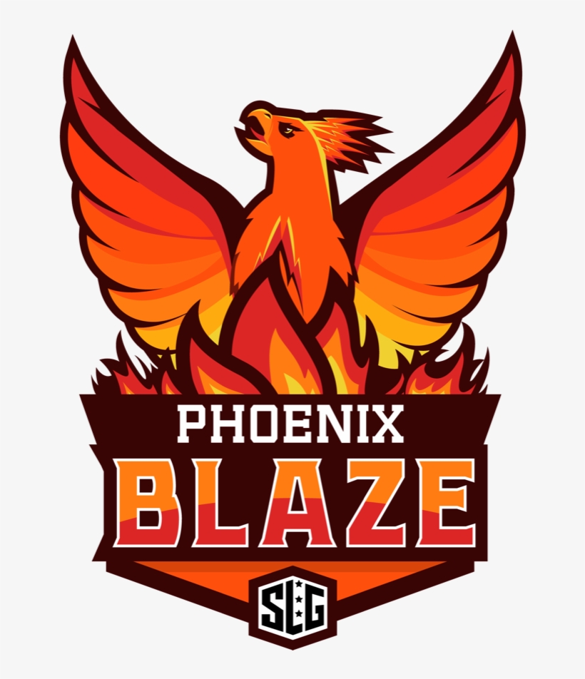 Phoenix Blaze Transparent PNG - 889x1000 - Free Download on NicePNG