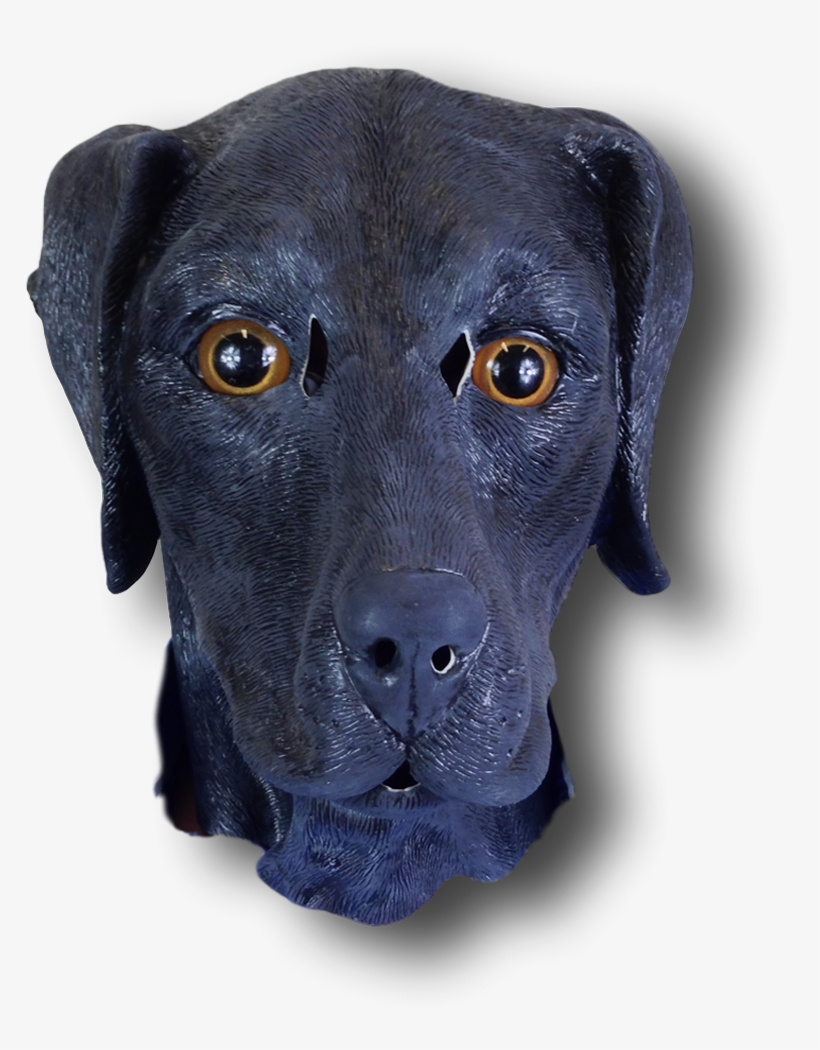 Black Labrador Mask Rj V=1520980823 - Labrador Retriever Transparent ...