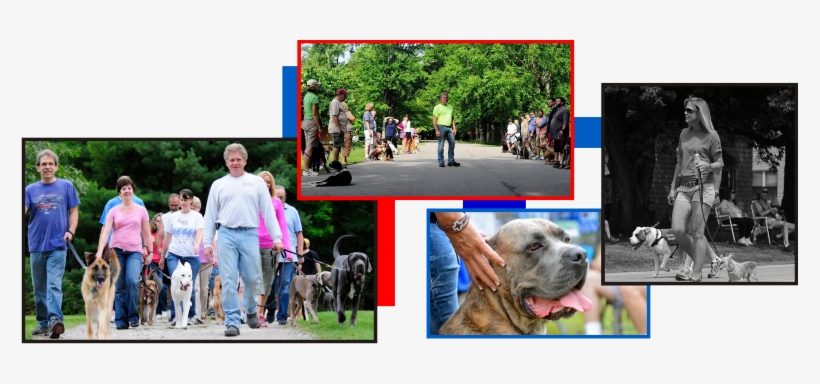 Cleveland Transparent PNG - 777x304 - Free Download on NicePNG