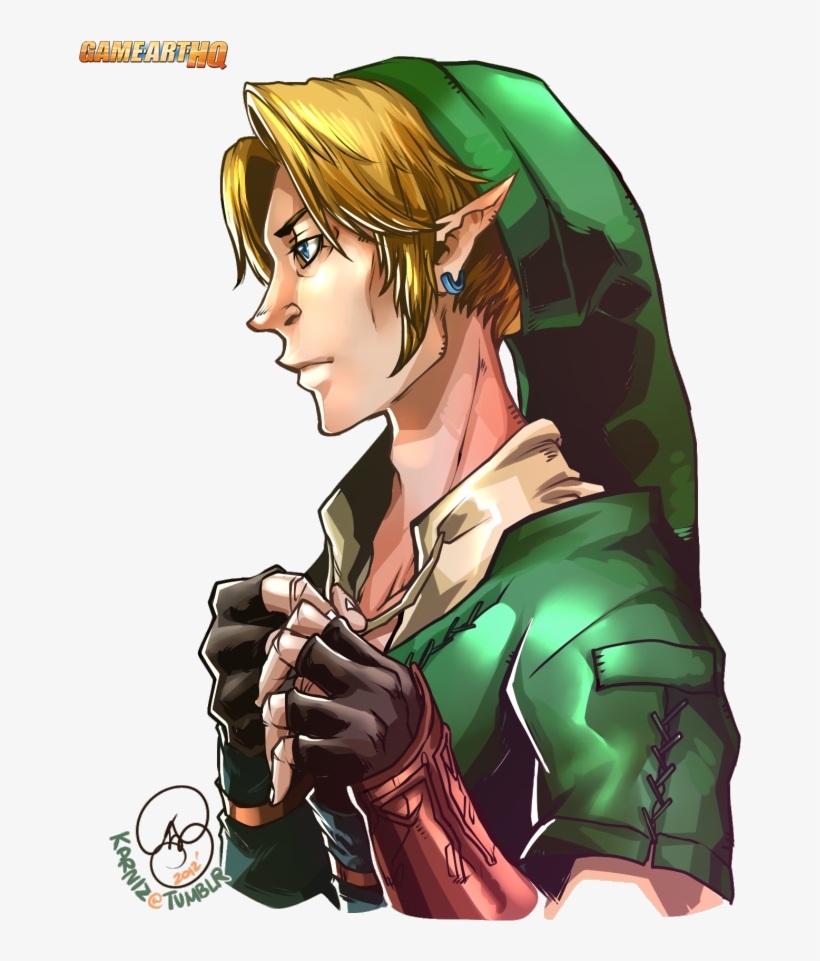 Link Loz Art - Loz Link Transparent PNG - 700x902 - Free Download on ...