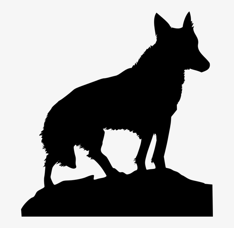 Graphic Download Arctic Wolf Free On - Wolf Clip Art Transparent ...
