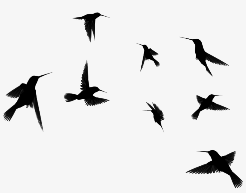 Birds Silhouette Flying - Bird Silhouette Flying Transparent ...