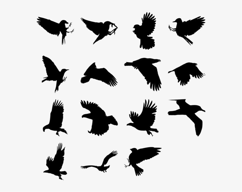 Search - Silhouette Transparent PNG - 592x592 - Free Download on NicePNG