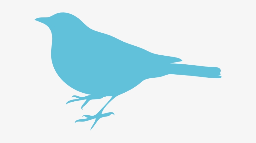 Mocking Bird Clip Art Transparent PNG - 600x380 - Free Download on NicePNG