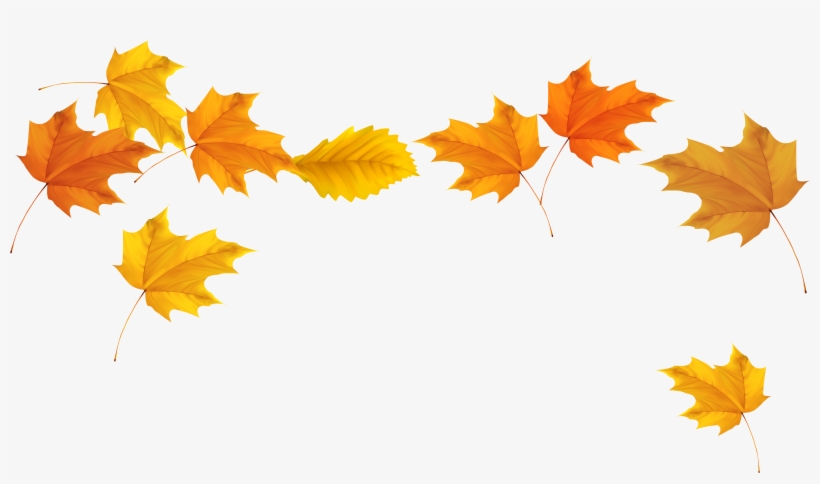 Yellow Fall Leaf Clipart