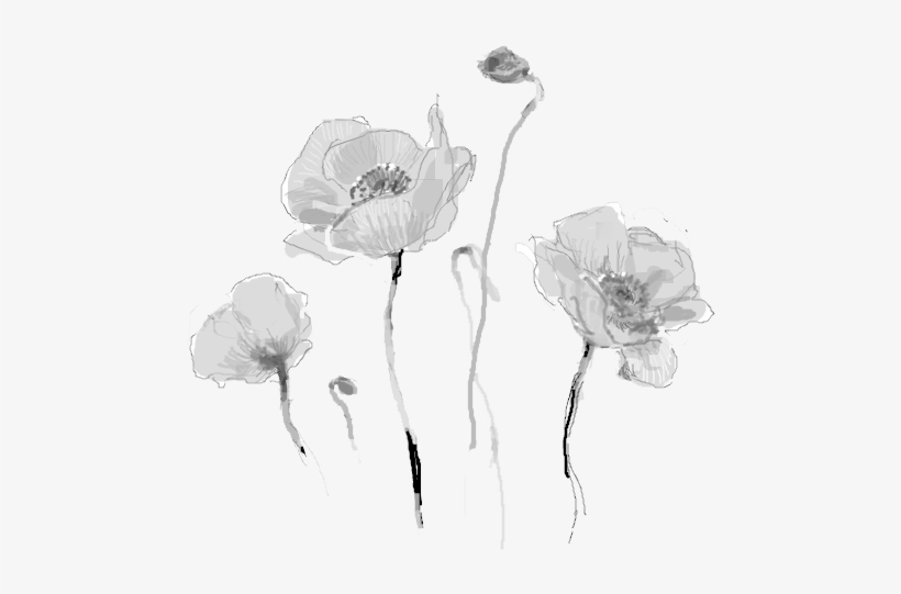Download Dead Flowers Tumblr Png - HD Transparent PNG - NicePNG.com