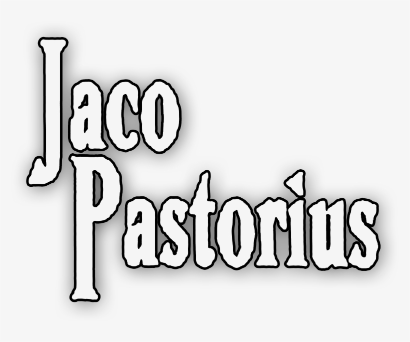 Discografia / Discography - Calligraphy Transparent PNG - 800x613 ...