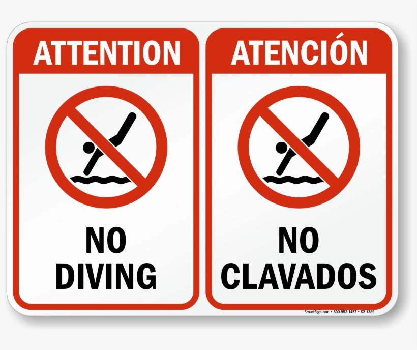 No Diving Sign Vector