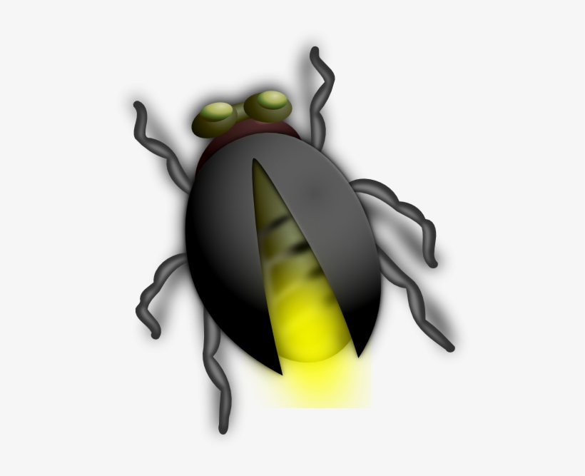 Animated Bug Clipart