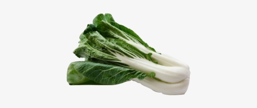 Bok Choy - Shanghai Paksoi Transparent PNG - 435x289 - Free Download on ...