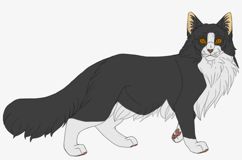 Shadowclan By Twistedfoot On Deviantart Clip Black - Dark Brown And ...