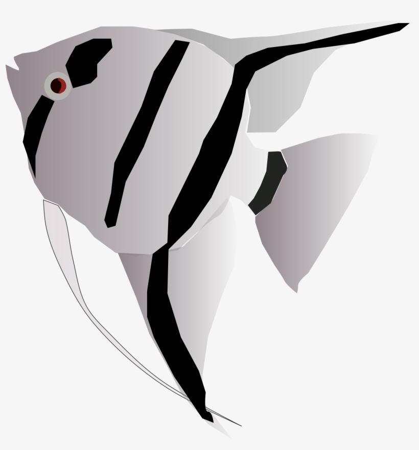 Open - Angel Fish Svg Transparent PNG - 2000x2048 - Free Download on ...