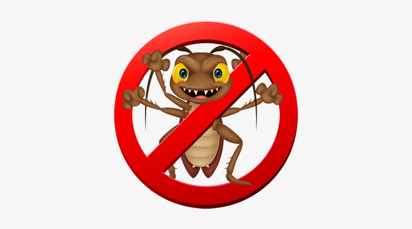 Cockroach Prevention Top 7 Ways To Discourage An Infestation ...