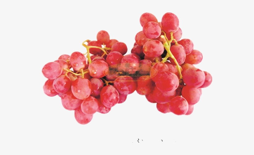 Picture Of Red Muscat Grapes - Grape Transparent PNG - 550x419 - Free ...