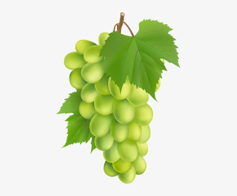 Grapes Fruit Clip Art