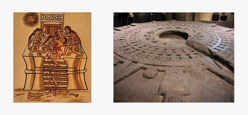 Aztecs Religion Human Sacrifice Transparent PNG - 733x302 - Free ...