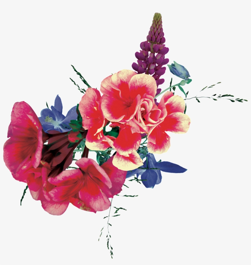 Hand Painted Colorful Flower Cluster Png Transparent - Portable Network ...