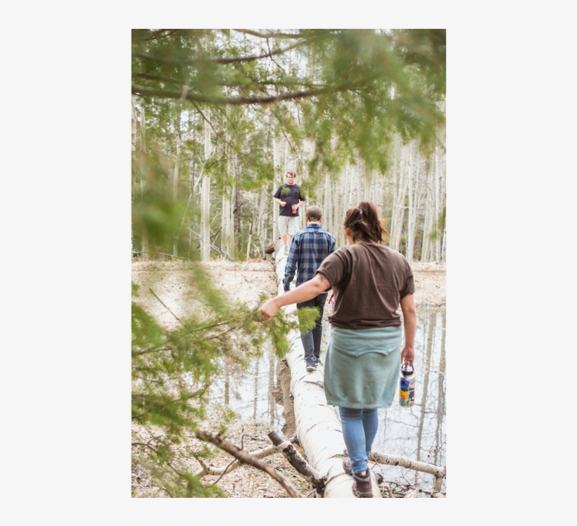 Dsc 1021 - Hiking Transparent PNG - 1000x667 - Free Download on NicePNG