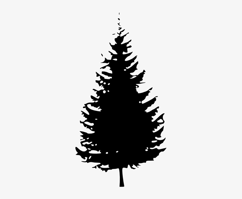 Evergreen Tree Outline