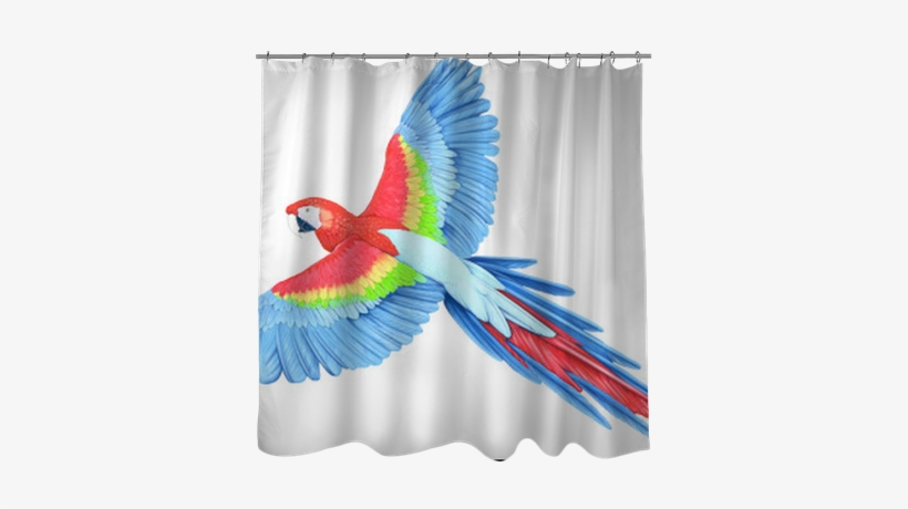 Wall Decal Transparent PNG - 400x400 - Free Download on NicePNG