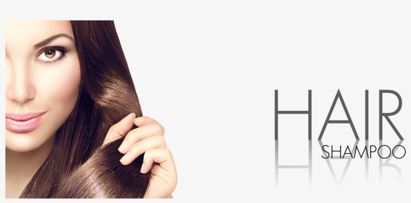 L Oreal Shampoo Banner Transparent PNG - 1400x500 - Free Download on ...