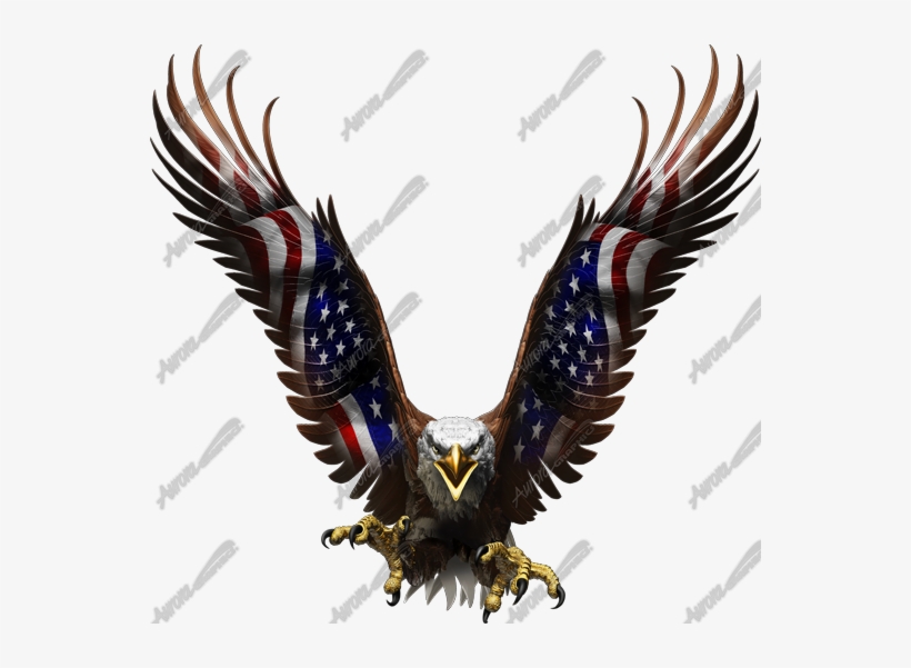 American Eagle Flight Straight - Bird Transparent PNG - 550x521 - Free ...
