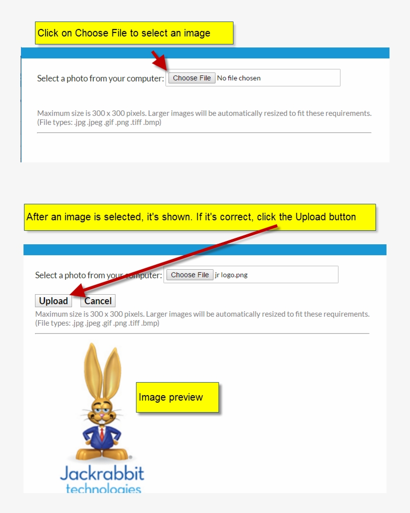 11118-2 - Jackrabbit Class Transparent PNG - 738x947 - Free Download on ...