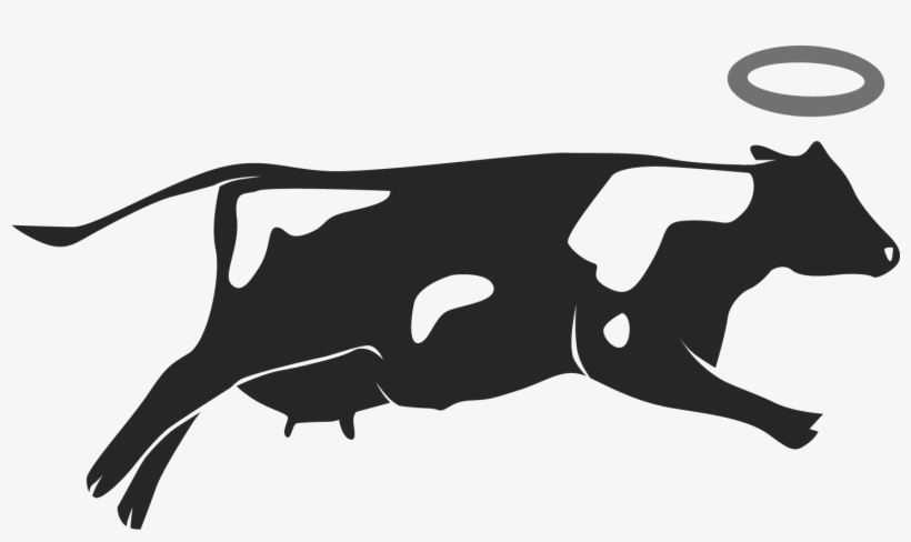 Holy Cow Design - Cow Design Transparent PNG - 1558x880 - Free Download ...