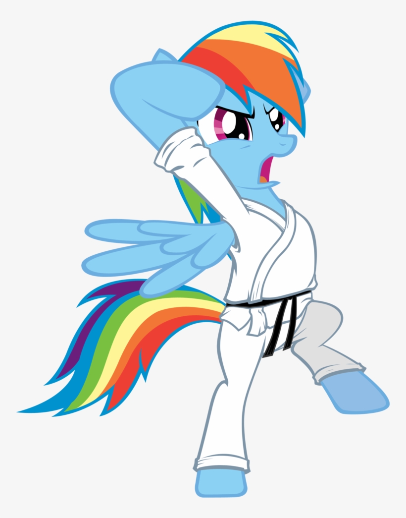 Rainbow Belt Karate | atelier-yuwa.ciao.jp