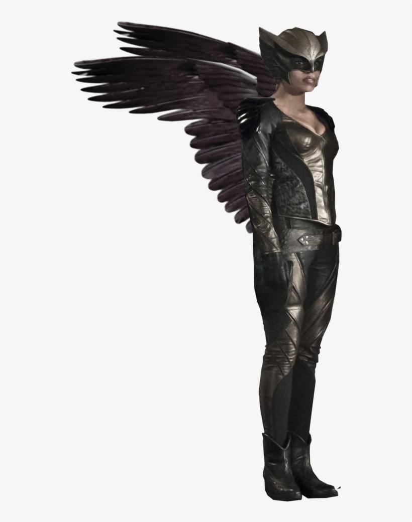 Png Mulher Gavião - Hawkman E Hawkgirl Png Transparent PNG - 766x1042 ...