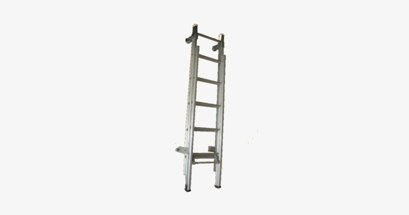 Laddermenn Ladders - Cat Transparent PNG - 350x350 - Free Download on ...
