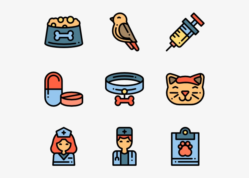 At The Vet - Icon Transparent PNG - 600x564 - Free Download on NicePNG