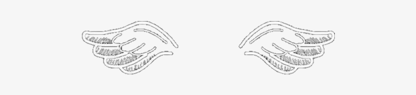 Overlay Tumblr Wings Wing Alas Ala Withe Blanco - Overlay Wing Png ...