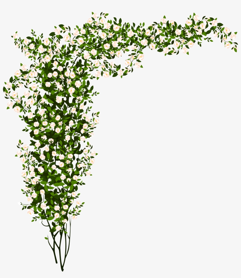Transparent Pink Rose Bush Png Transparent PNG - 4773x5354 - Free ...