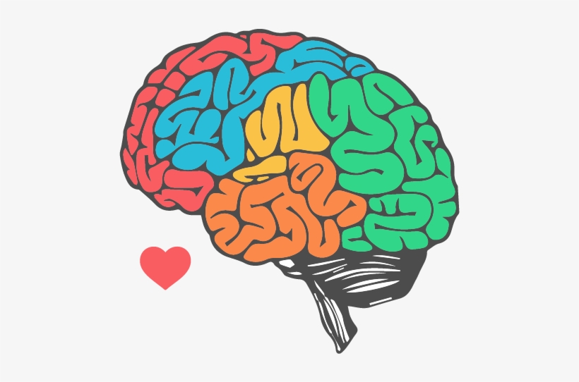 Devenir Intello Transparent PNG - 505x474 - Free Download on NicePNG