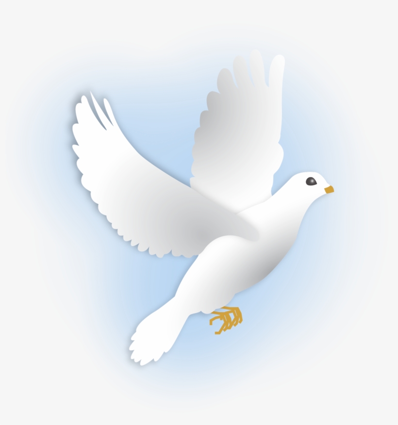 Dove Png - Dove Flying Transparent PNG - 1525x1496 - Free Download on ...