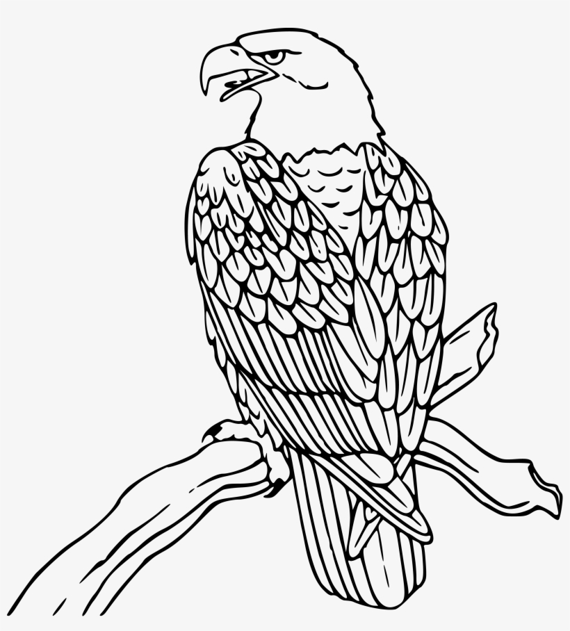 Drawn Bald Eagle Military - Clipart Of Eagle Black And White ...