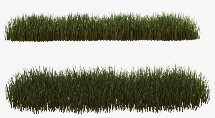 Dry Grass Clipart Desert Plant - Png Grass Clump Transparent PNG ...