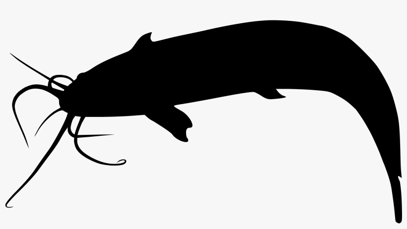 Fish Vector Catfish - Walking Catfish Cartoon Transparent PNG ...