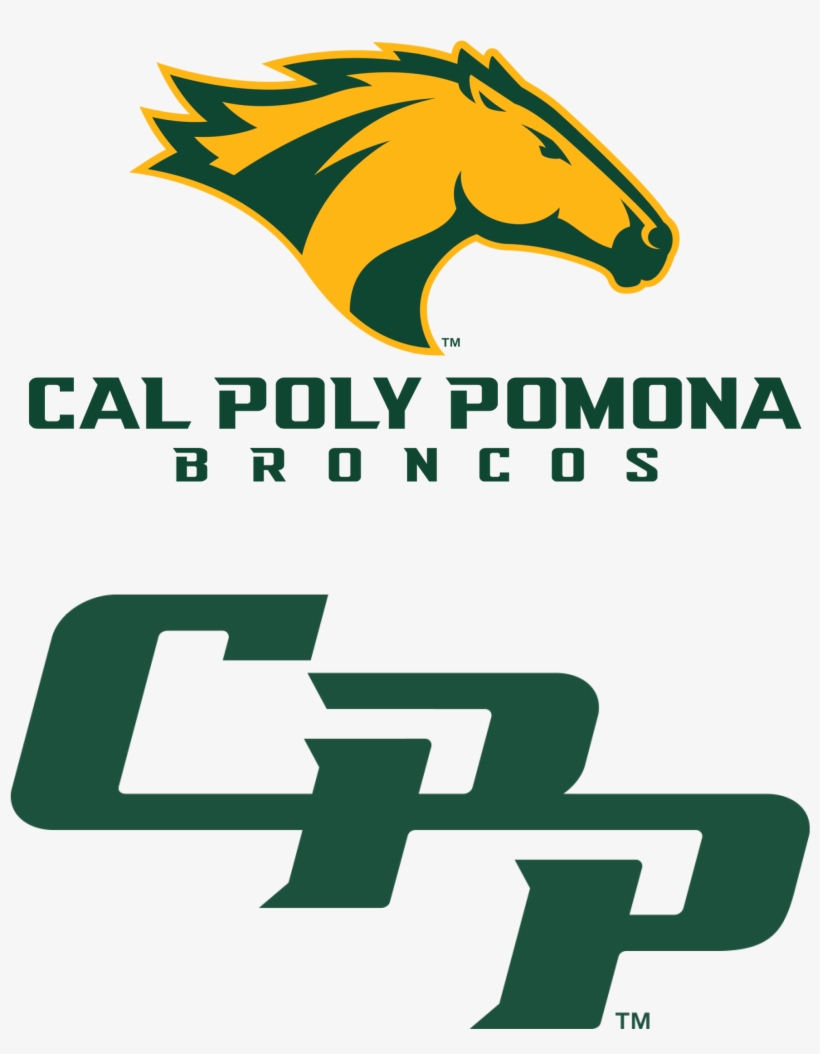 The Brand For Athletics - Cal Poly Pomona Bronco Logo Transparent PNG ...