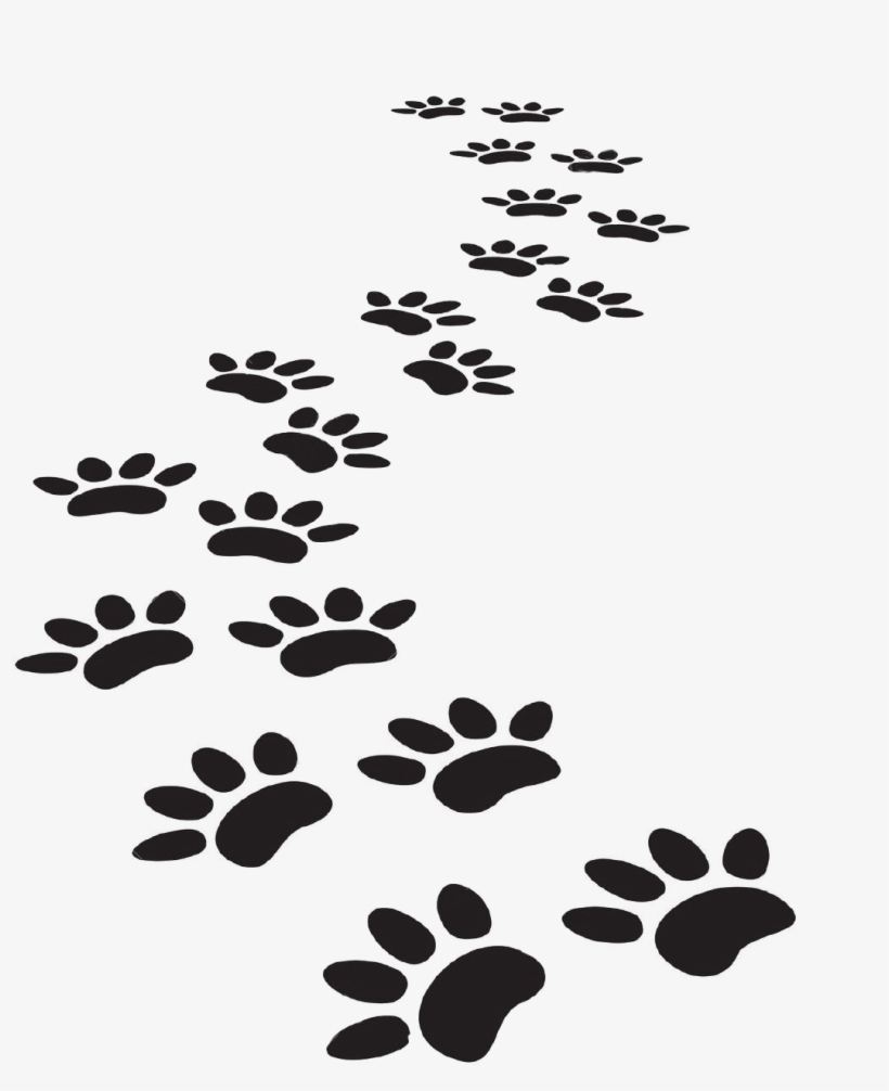 Dog Paw Vector