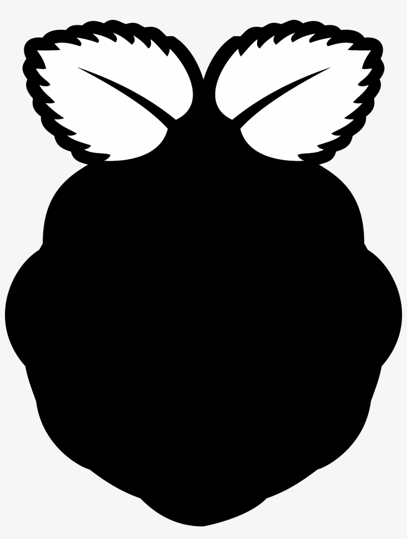 Raspberry Pi Logo Transparent