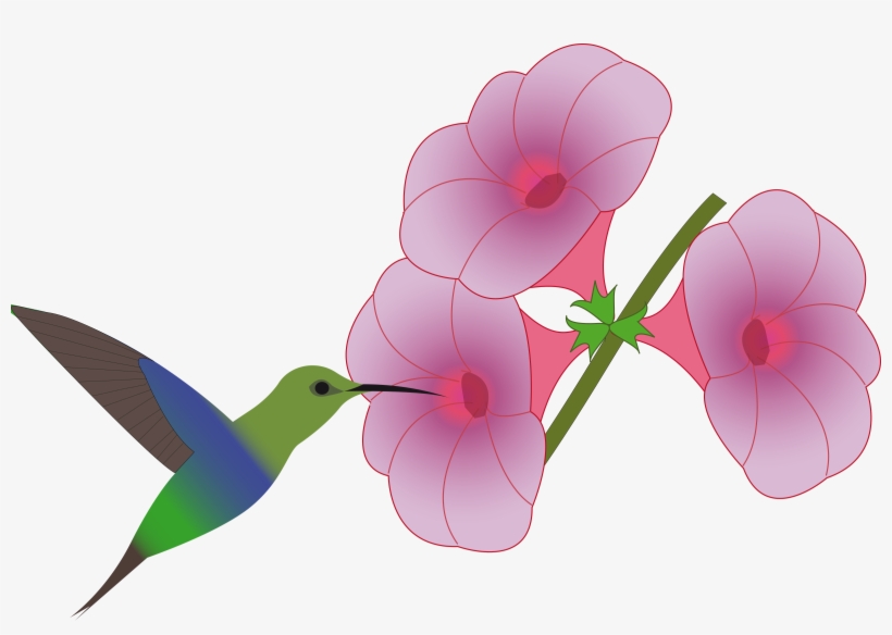 This Free Icons Png Design Of Pretty Hummingbird Transparent PNG ...