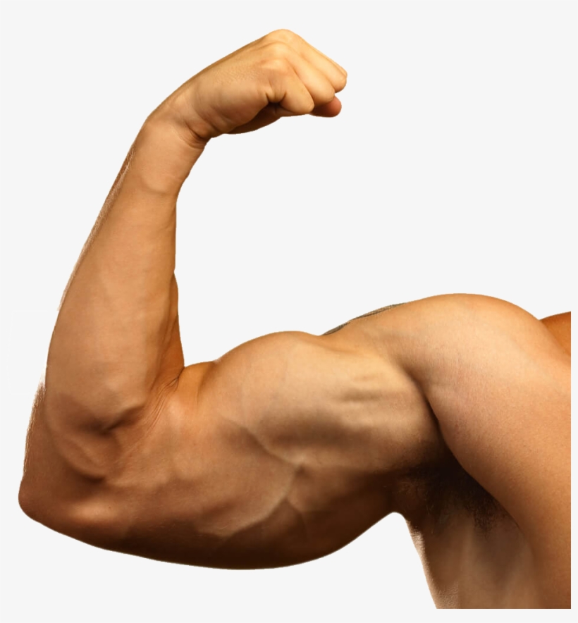 Strong Biceps Transparent PNG - 900x927 - Free Download on NicePNG