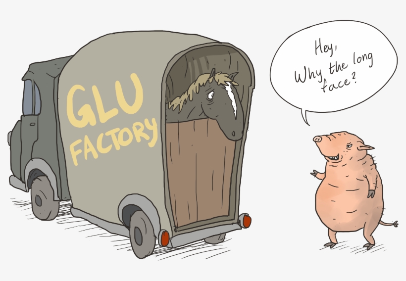 Boxer Animal Farm Glue Factory