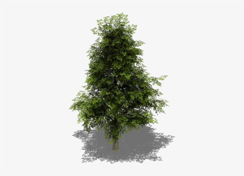 Download Preview - Sprite Tree - HD Transparent PNG - NicePNG.com